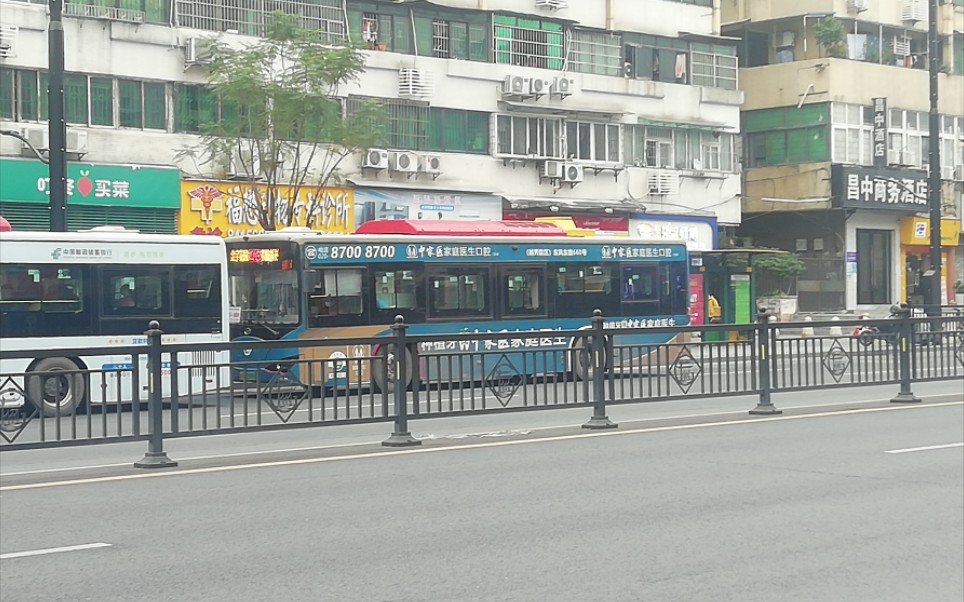 (全网首发)(云乘车.242)广州公交金宇花园如约开沃NJL6100EV17运行...