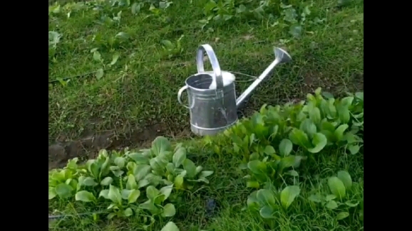 ...生物,显著提高了土壤生物对磷的捕获和富集能力。提高了磷捕获能力。