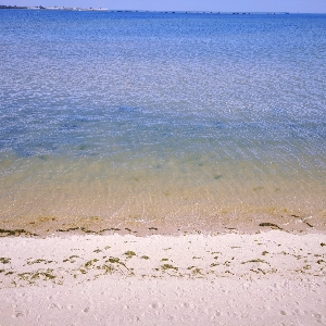 东海龙王51太子 