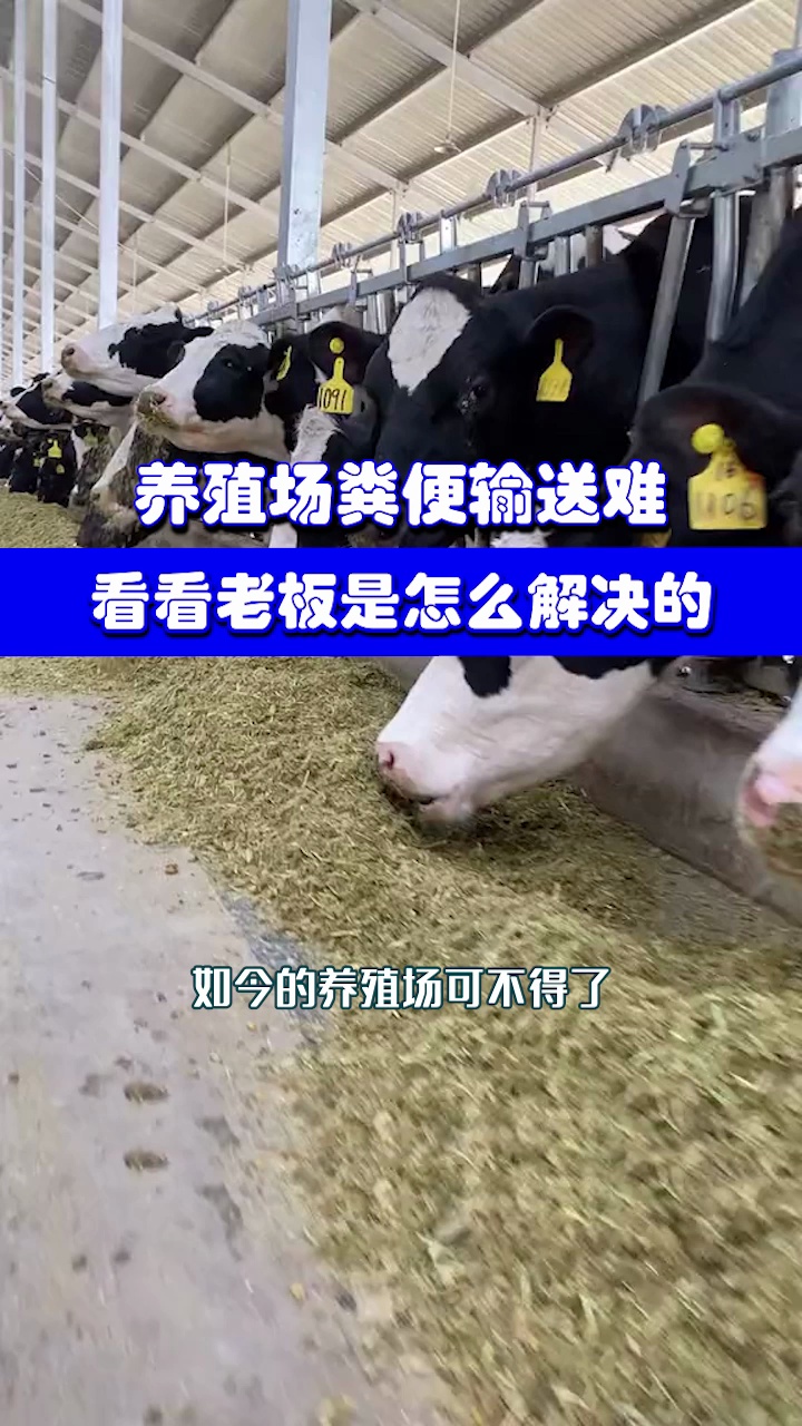 养殖场的动物粪便用 螺旋叶片 来处理,可给老板省了不少劲