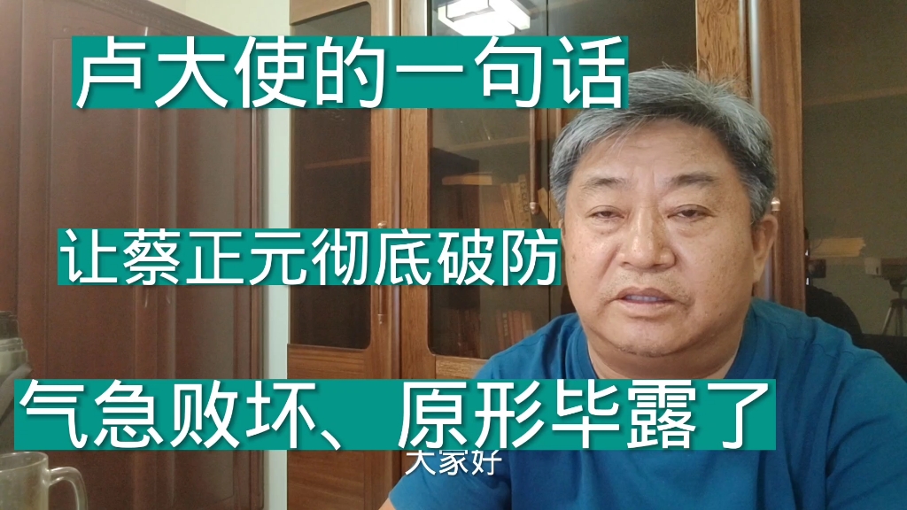 卢大使的一句话使,让蔡正元彻底破防,气急败坏、猿形毕露啦!