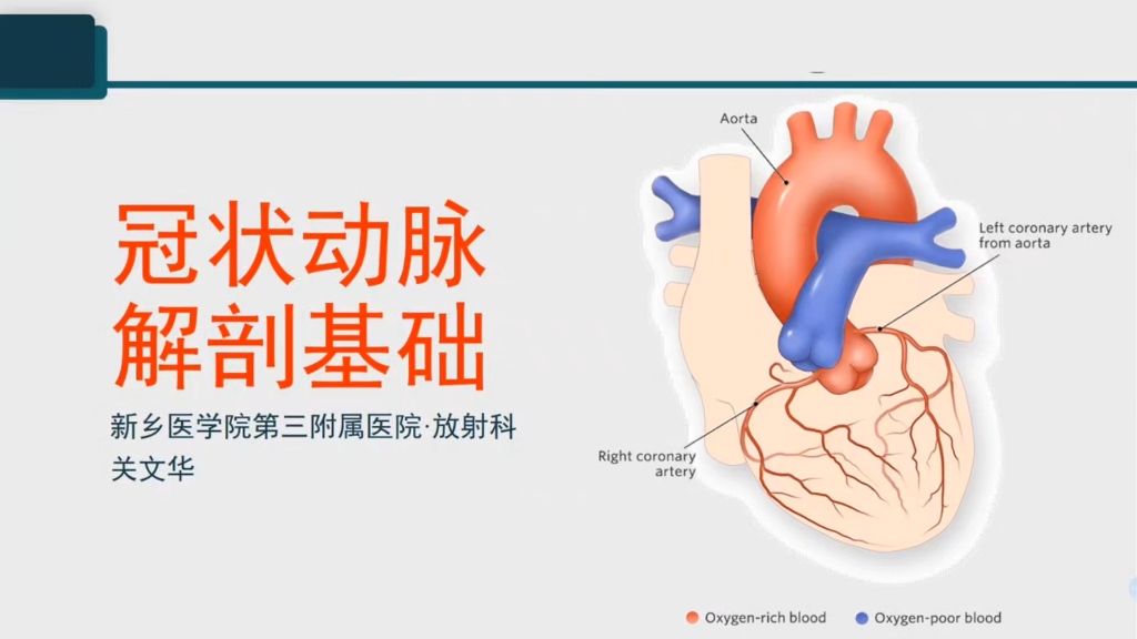 从零到精通CTA诊断教程共50讲08:冠状动脉解剖基础-关文华