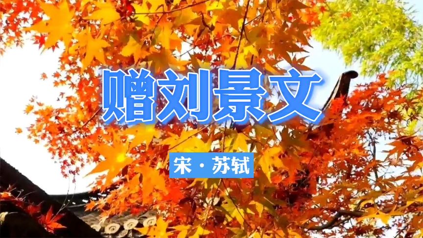 诵读《赠刘景文》,一年好景君须记,最是橙黄橘绿时。