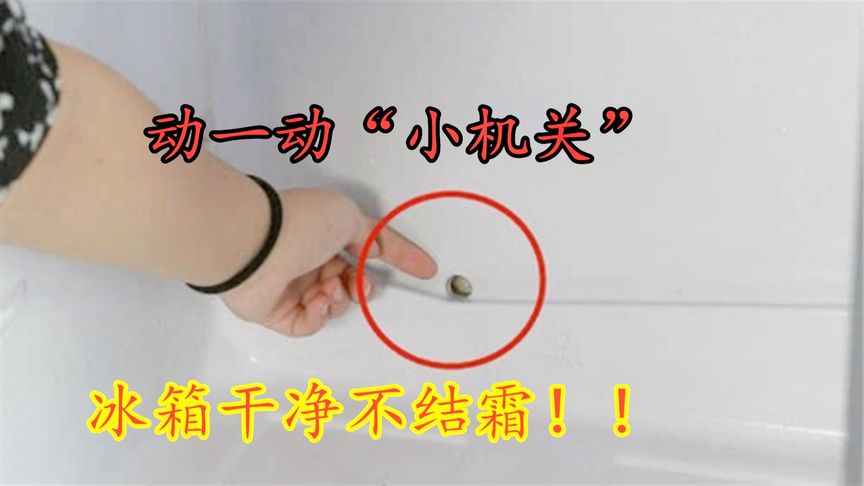 冰箱有个“小机关”,只需动一动,冰箱干净不结霜,省钱又省电