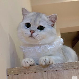 小王发大财呀 