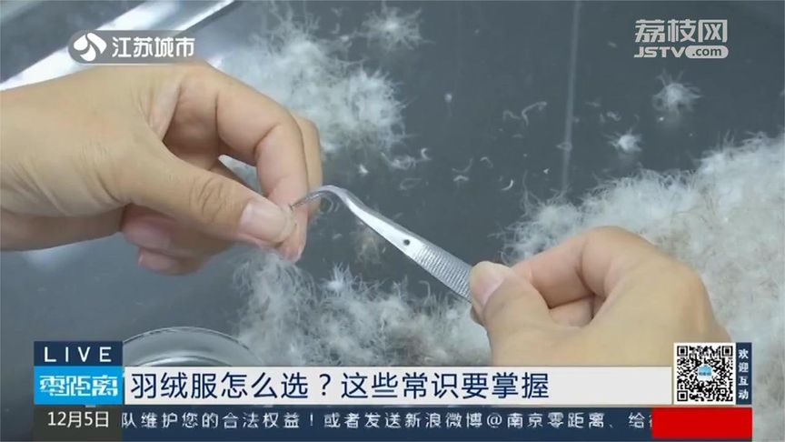 4个标准决定好羽绒服!鸭绒和鹅绒哪个更好?专家给出答案!
