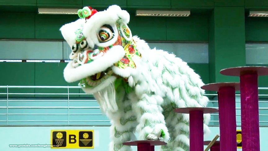 中华舞狮比赛视频,专业舞狮艺术