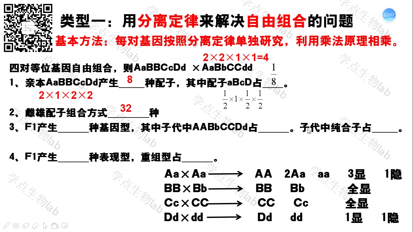 轻松学遗传(四)之多对等位基因自由组合类型
