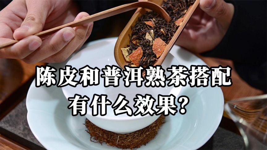 「第184期」陈皮和什么茶叶泡水最好?普洱熟茶,还是白茶?