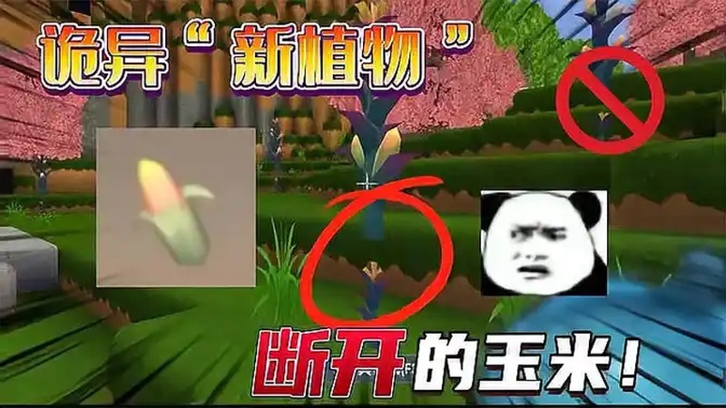 迷你世界:新植物"玉米"很奇怪?在中间断开却也可以快速生长!