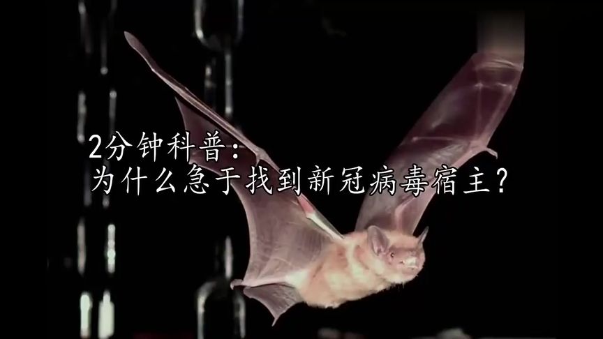 科普:为什么急于找到新冠状病毒宿主?