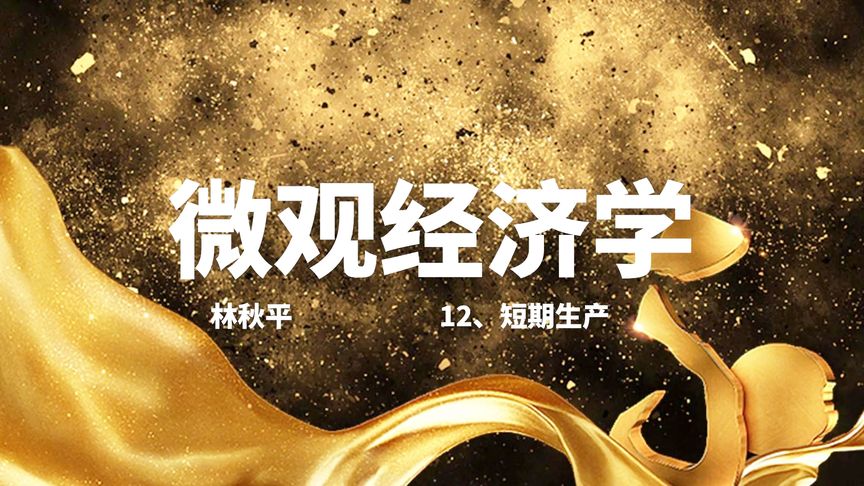 12、微观经济学之短期生产