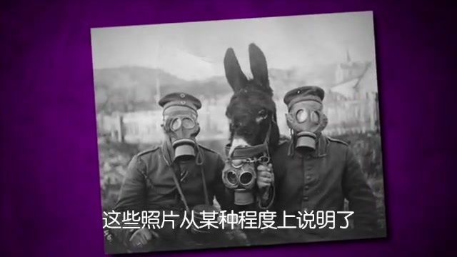 带你看清战争的残酷现实,细数令人胆寒的一战照片