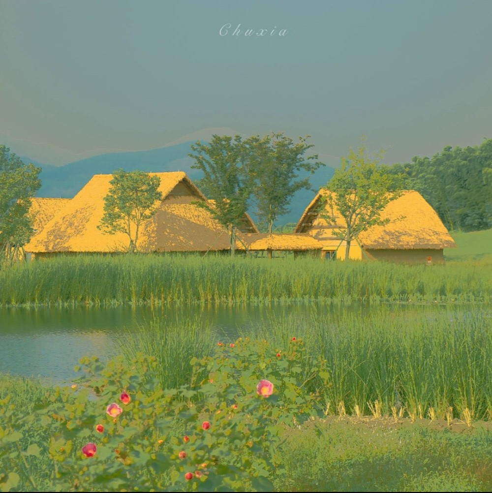 TT-草莓牛油果 