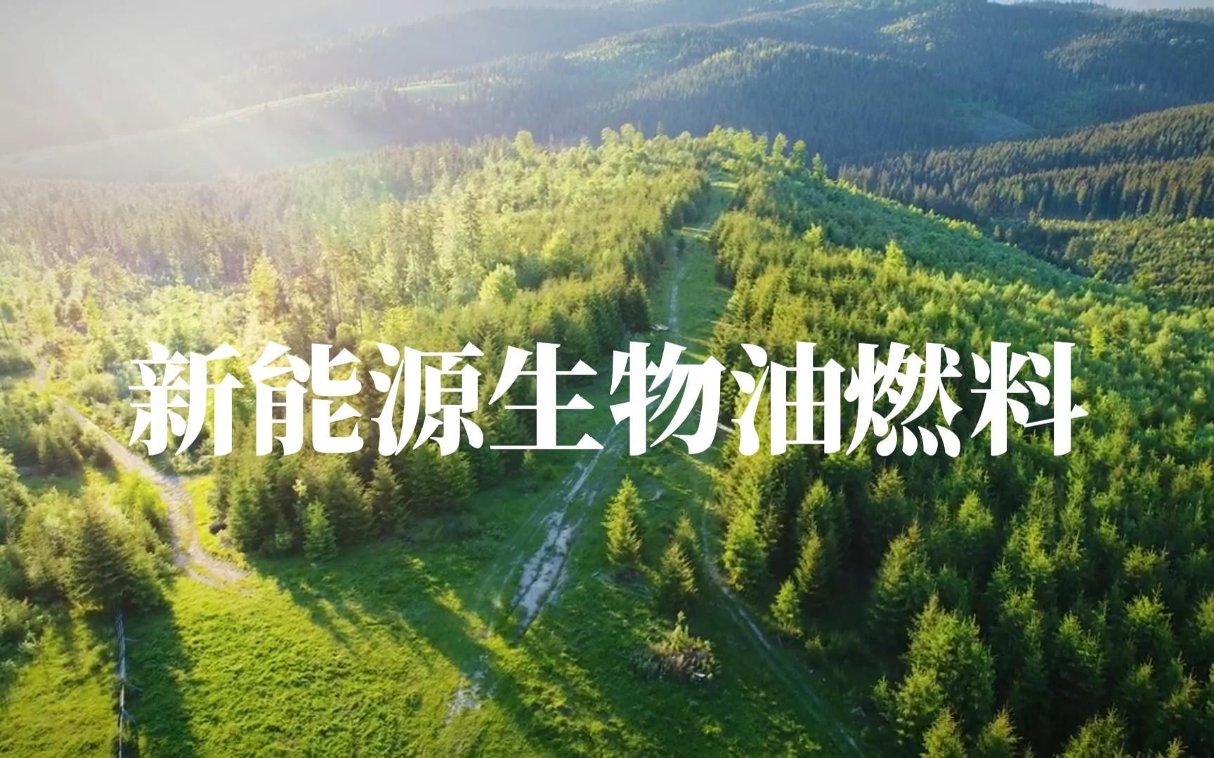 挑战拍一组新能源生物油燃料宣传大片。