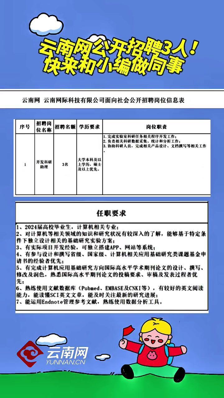 云南网公开招聘3人!快来和小编做同事。#打破信息差#招聘#找工作#...