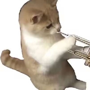 IoeKiuly 