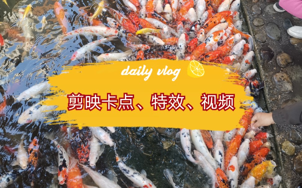 剪映卡点、特效、视频教程