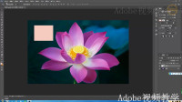 Adobe全套教程PScc2017第六节:文件的保存和文件格式的详解