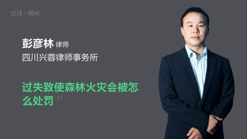过失致使森林火灾会被怎么处罚