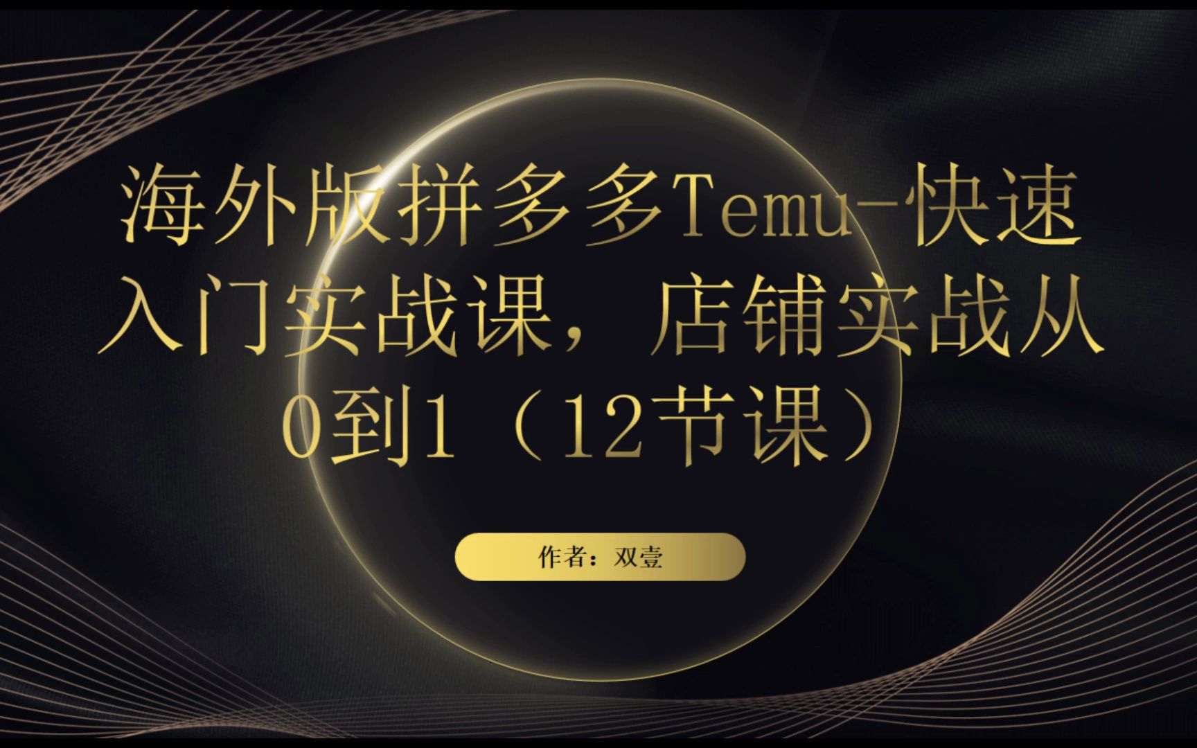 海外版拼多多Temu-快速入门实战课,店铺实战从0到1(12节课)