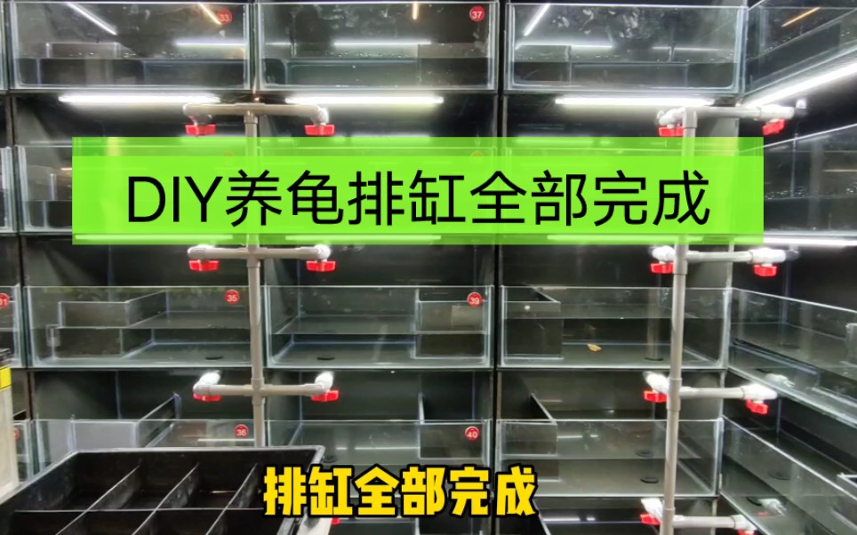 DIY养龟排缸制作完成