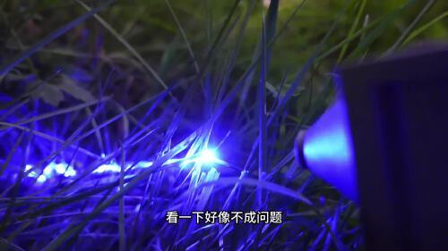 高功率激光可以割草吗 实验 趣味实验 科技小制作 科学实验