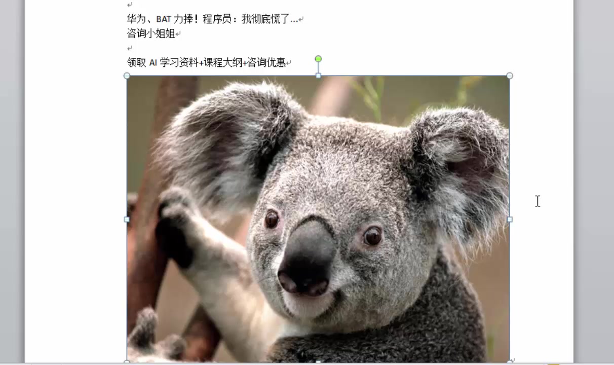49在word文档中插入图片、并设置图片大小、位置和格式,全国计算机...