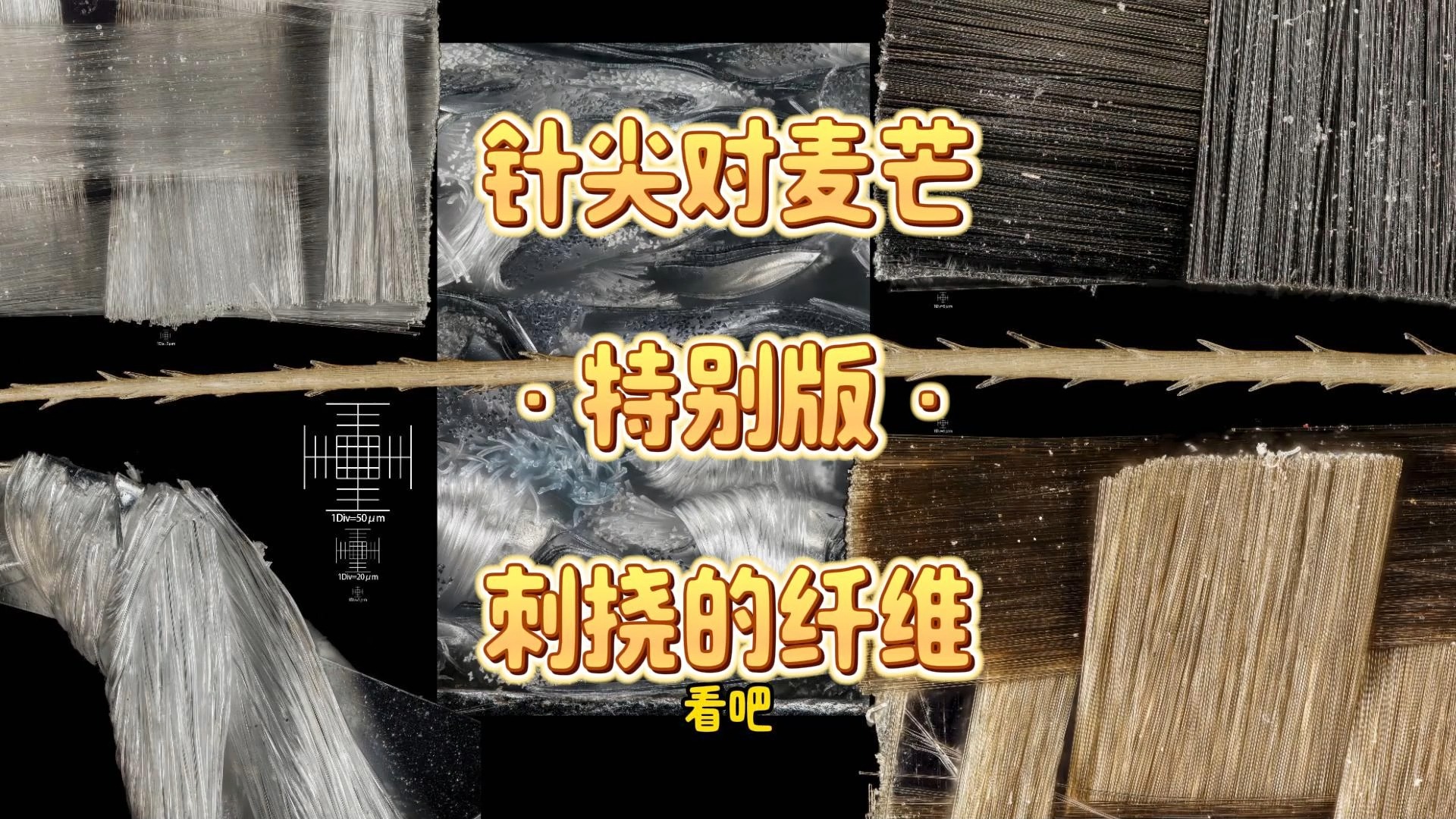 ...使用显微镜+照相机,显微摄影堆叠和拼接技术观察生活中的一些东西