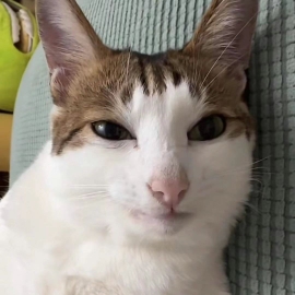 游戏广告万事屋 