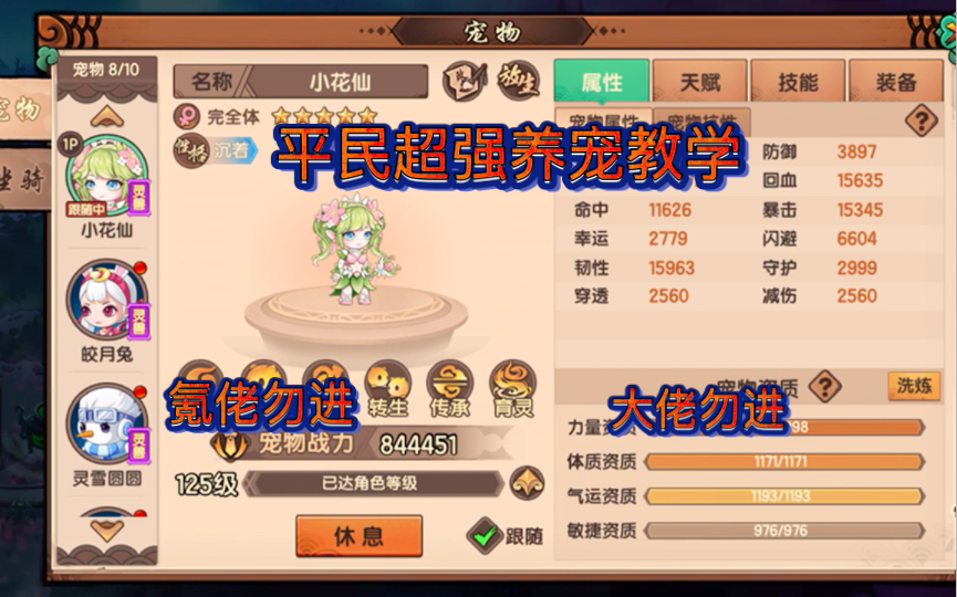 造梦无双:平民超强养宠教学,一教即懂_哔哩哔哩bilibili_造梦西游_教学