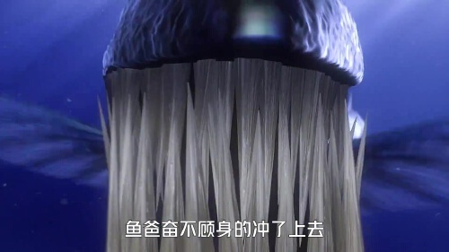 小丑鱼爸爸千里寻子 差点被大白鲨吃掉《海底总动员》