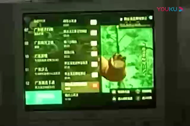 广东IPTV数字电视节目单