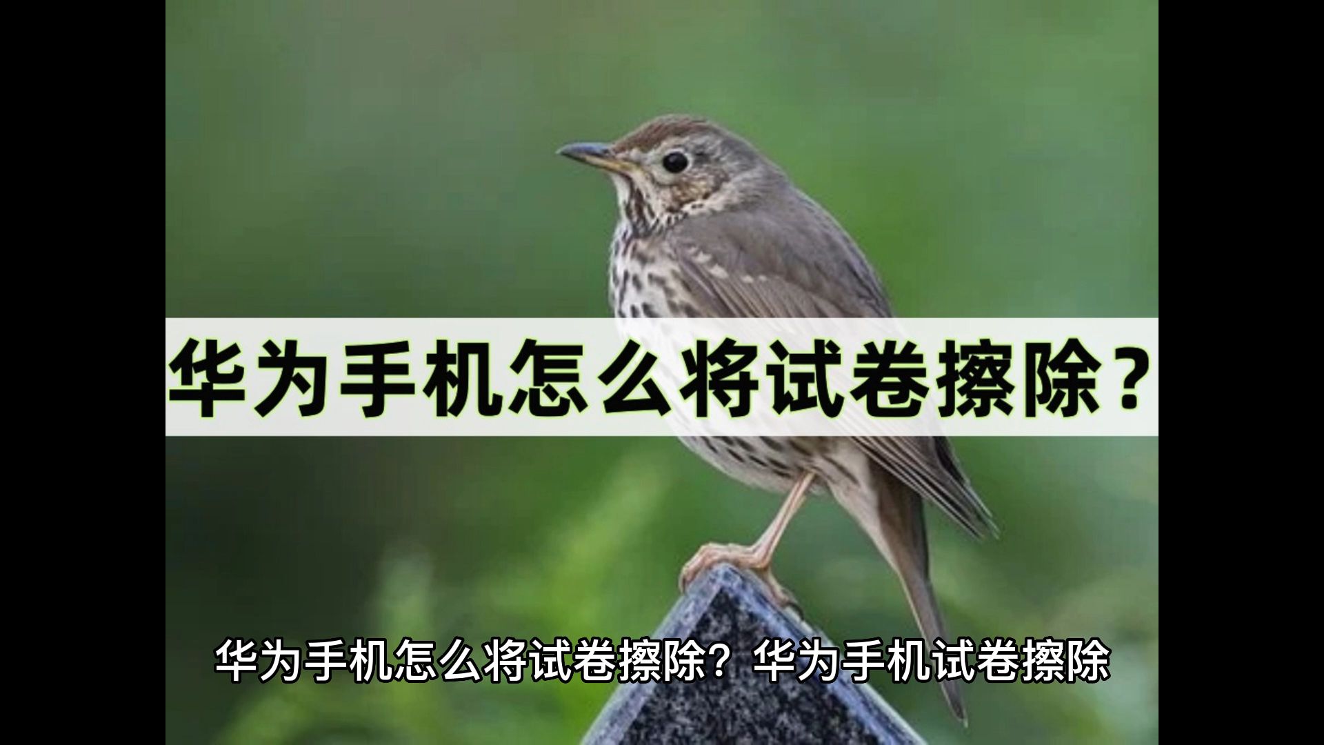 华为手机怎么将试卷擦除? 擦除试卷的一些方法