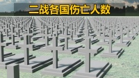 第二次世界大战 各国伤亡人数对比