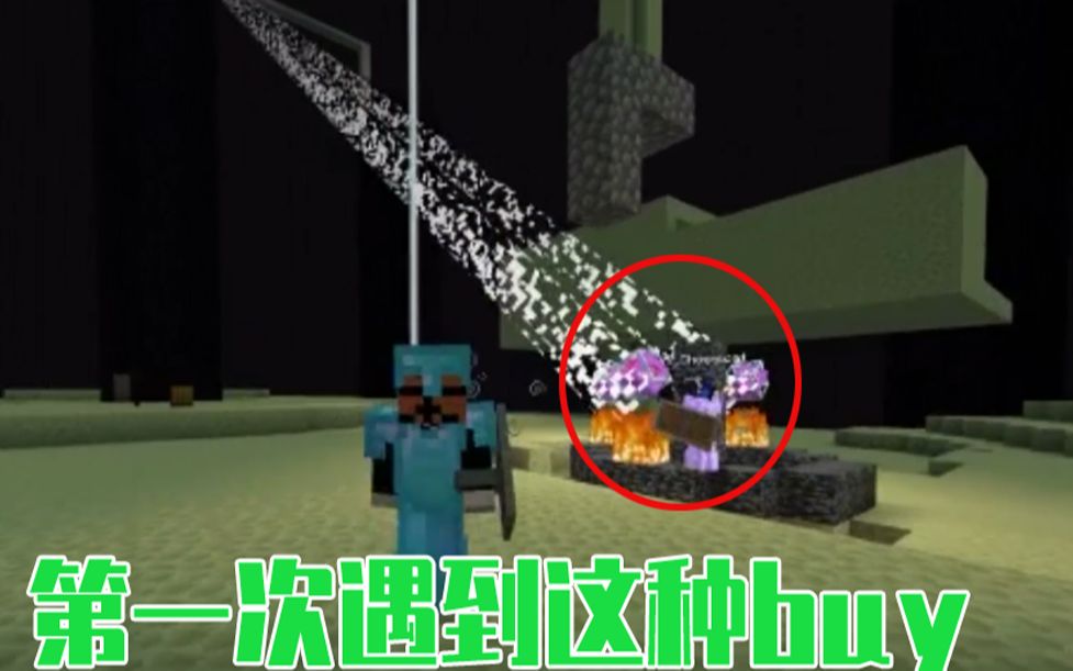 我的世界:第一次在末地遇到这样的bug