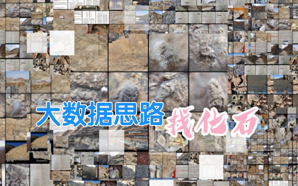 大数据思路找化石(元旦)