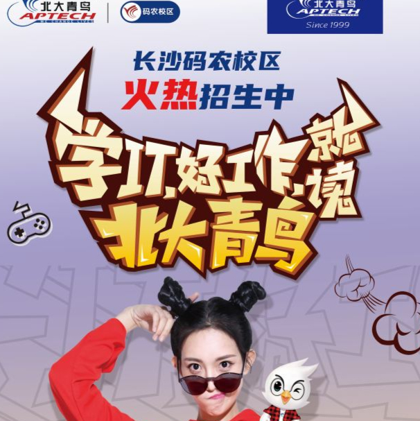 长沙北大青鸟码农教育 