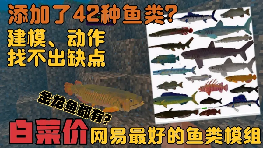 我的世界手机网易版更多鱼类模组 :添加了42种不同群系的鱼类!