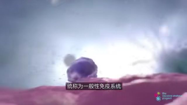 病毒入侵到被消灭,人体免疫力的全过程。