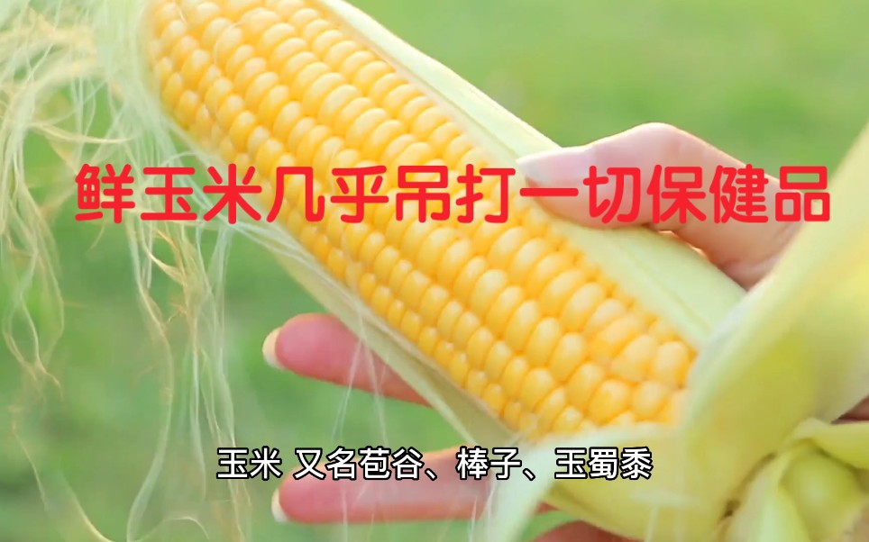 ...的保健品,也是常见食品,几乎胜过所有保健品,看看玉米的十大保健功能
