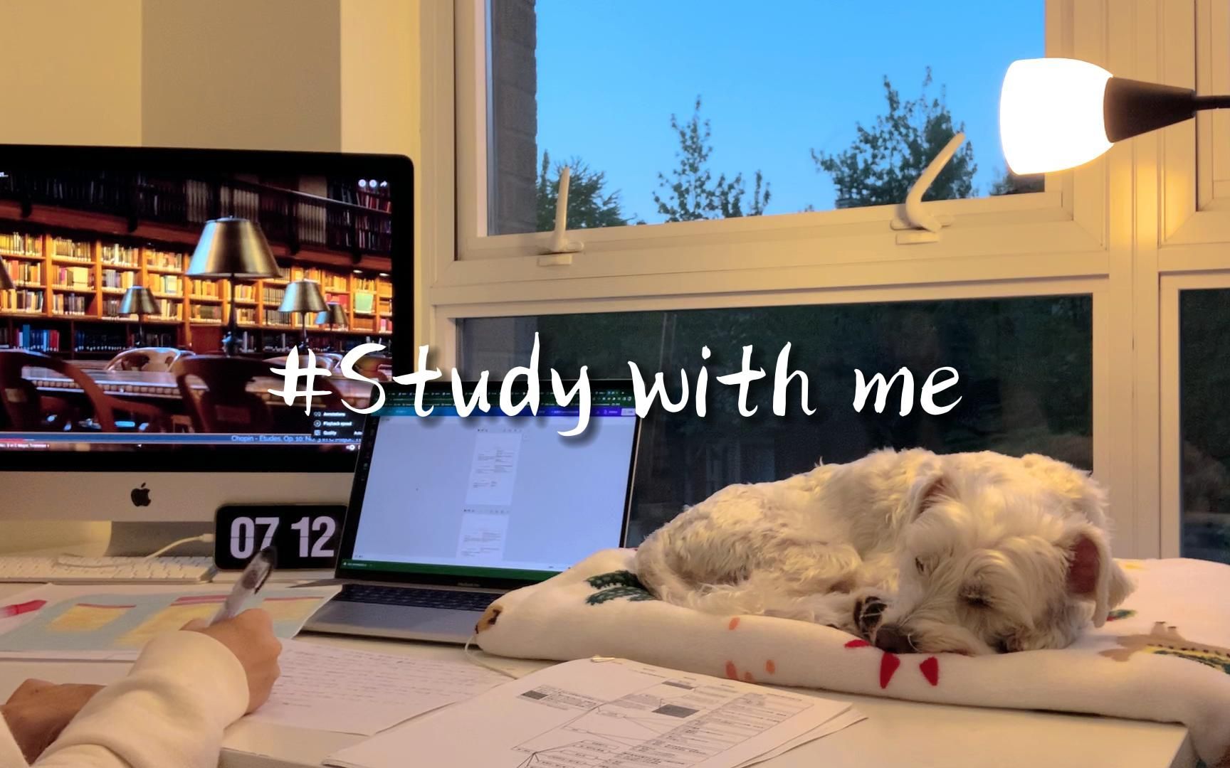 ...| 陪伴学习2小时 | 白噪音伴学+流行乐伴奏带 | 计时器倒计时间 | 清晨...