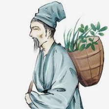 爱中医的柠 