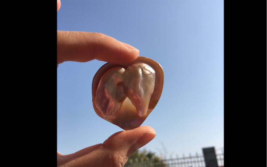 【巴洛克珍珠手作】妈见打系列之打磨贝壳(有的钱还是得给别人赚的)