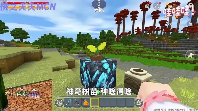 迷你世界:神奇的树苗,种什么得什么,种在钻石上会长成钻石树