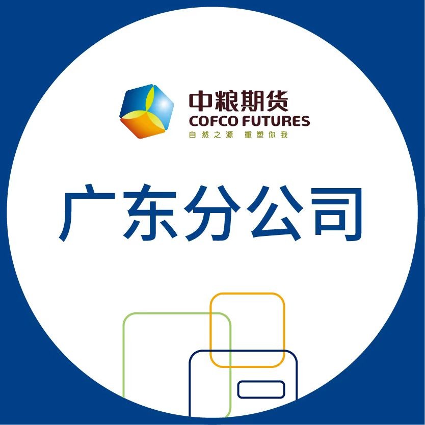 中粮期货广东分公司 