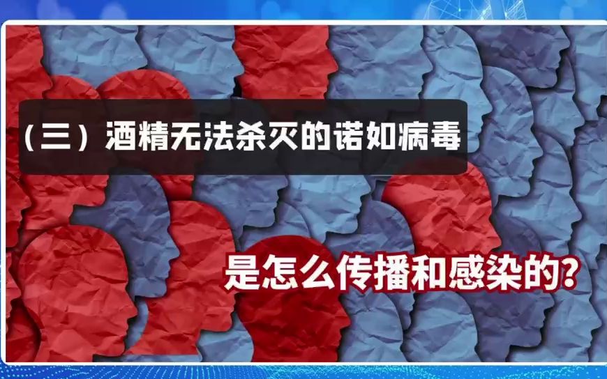 (三) 酒精无法杀灭的诺如病毒,是怎么传播和感染的?