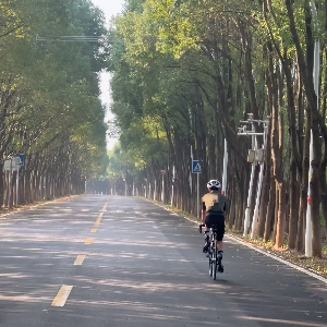 蹬洋车子的老胡 