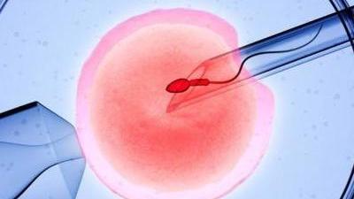 试管不害怕|试管婴儿的流程你了解吗?