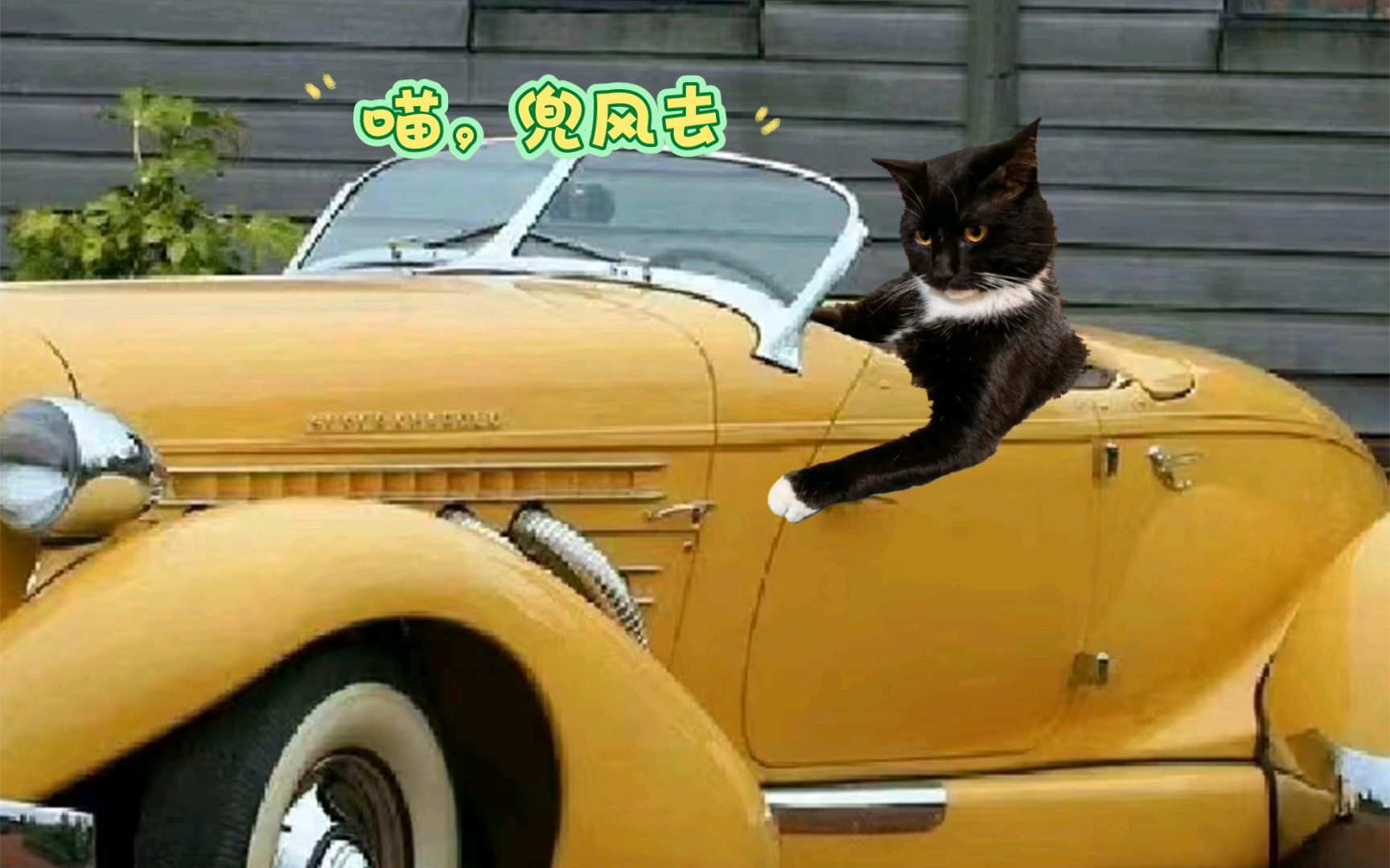 开起我心爱的小车车